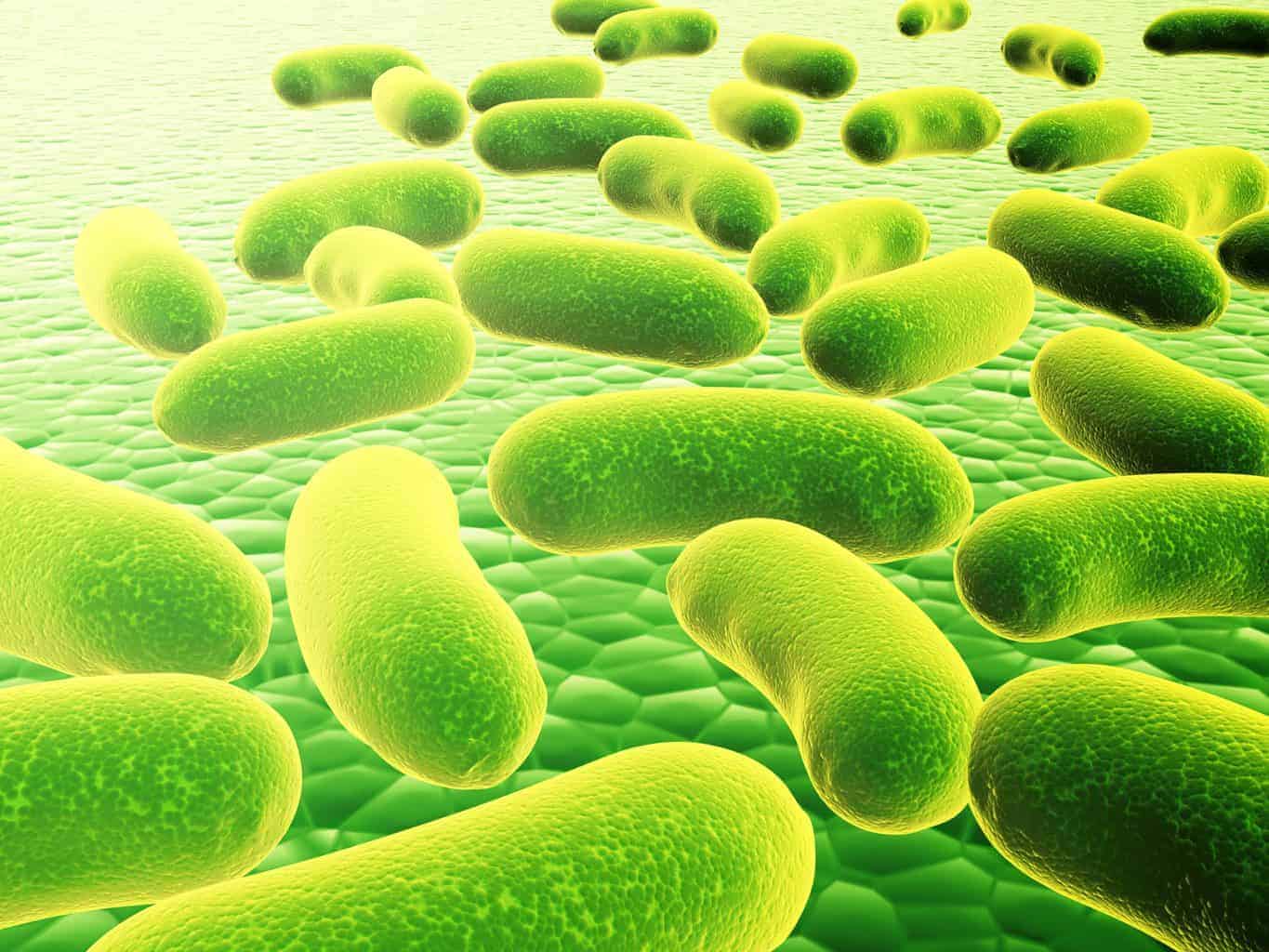 Tips To Produce Healthy Bacteria - Parkdale Family Dental